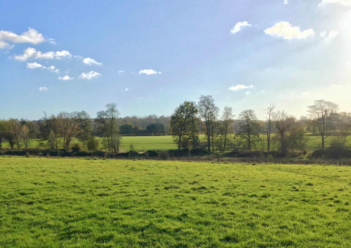 Chesworth Farm – The Oaks
